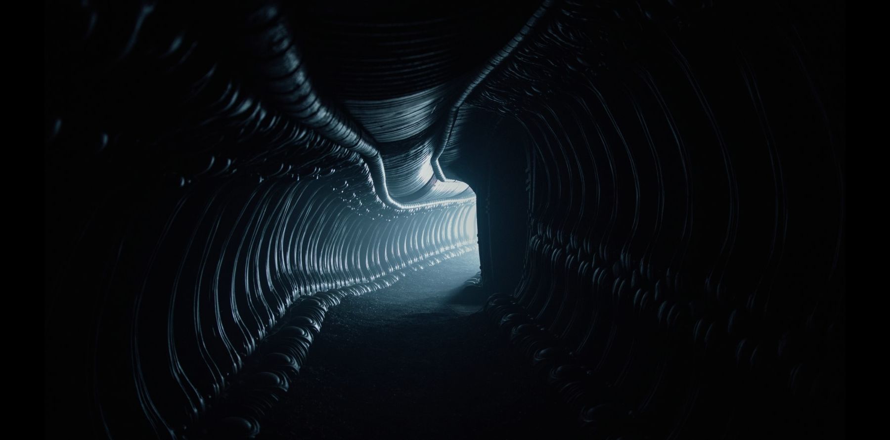 Alien - Covenant : Premières images terrorisantes... - Purepeople