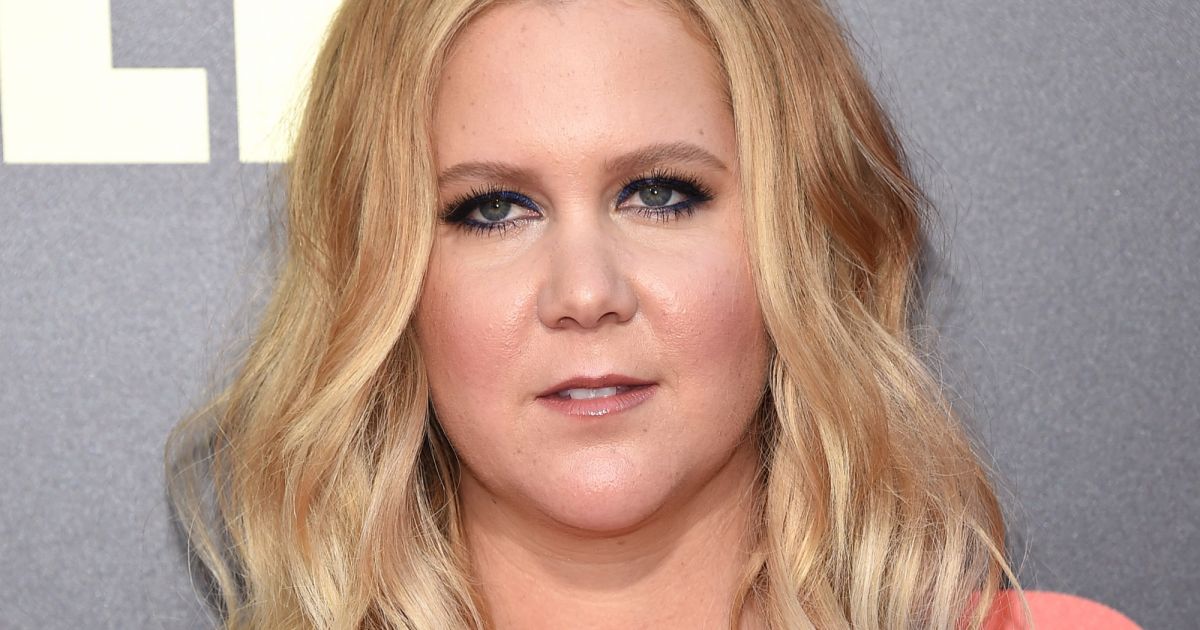 Amy Schumer à la première de Snatched au Village Theatre à Los Angeles ...