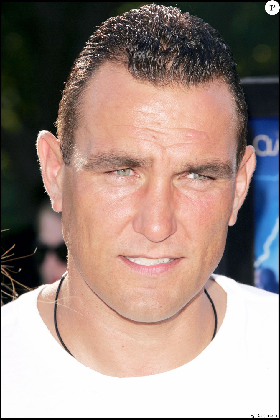 Vinnie Jones lors de la première du film Stardust à Hollywood, en ...