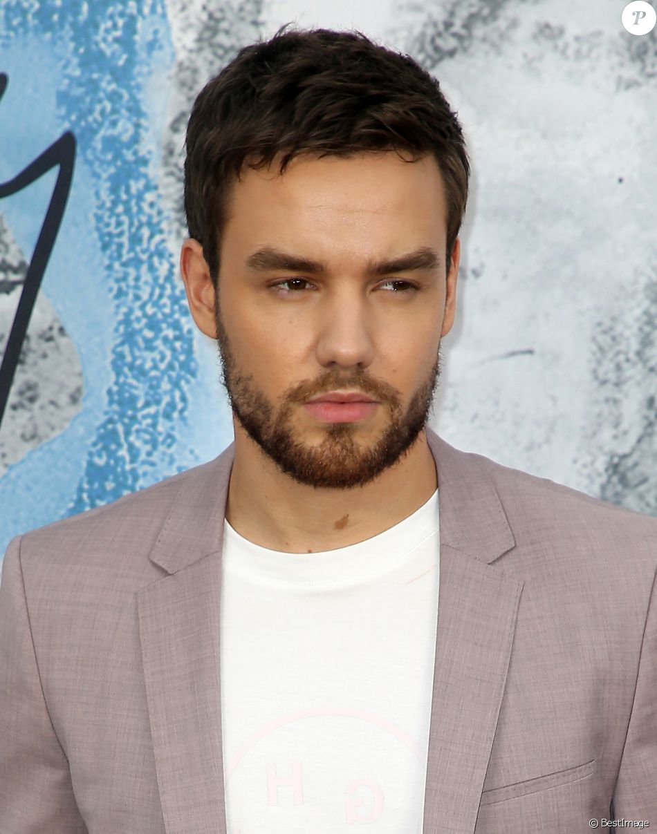 Liam Payne à la réception Serpentine Gallery Summer Party dans Hyde ...