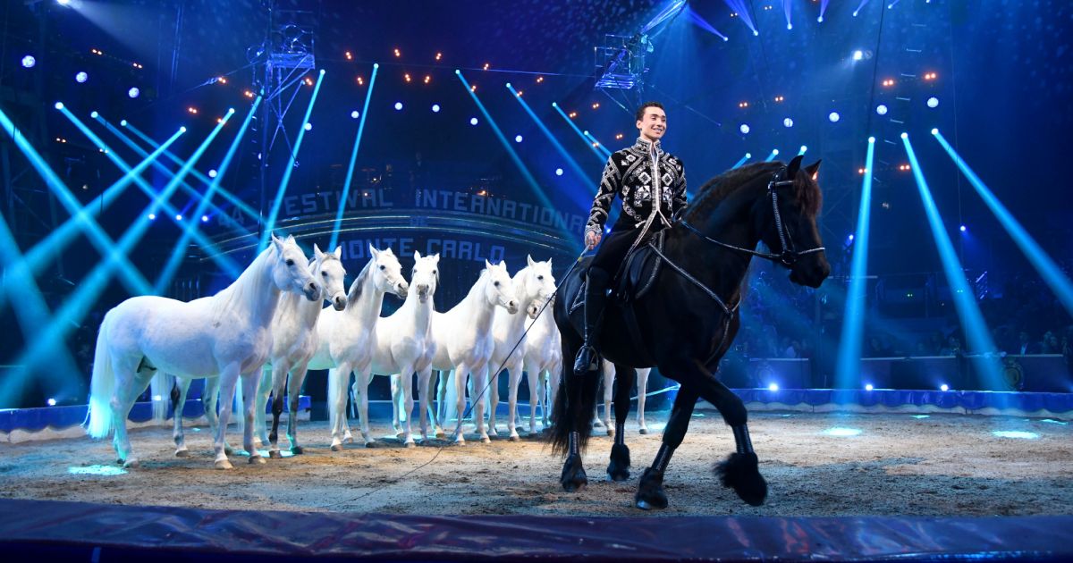 Ivan Knie et sa présentation de chevaux en liberté du Cirque National ...