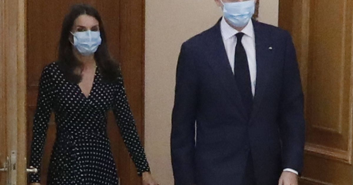 Le roi Felipe VI et la reine Letizia d'Espagne en audience au palais ...