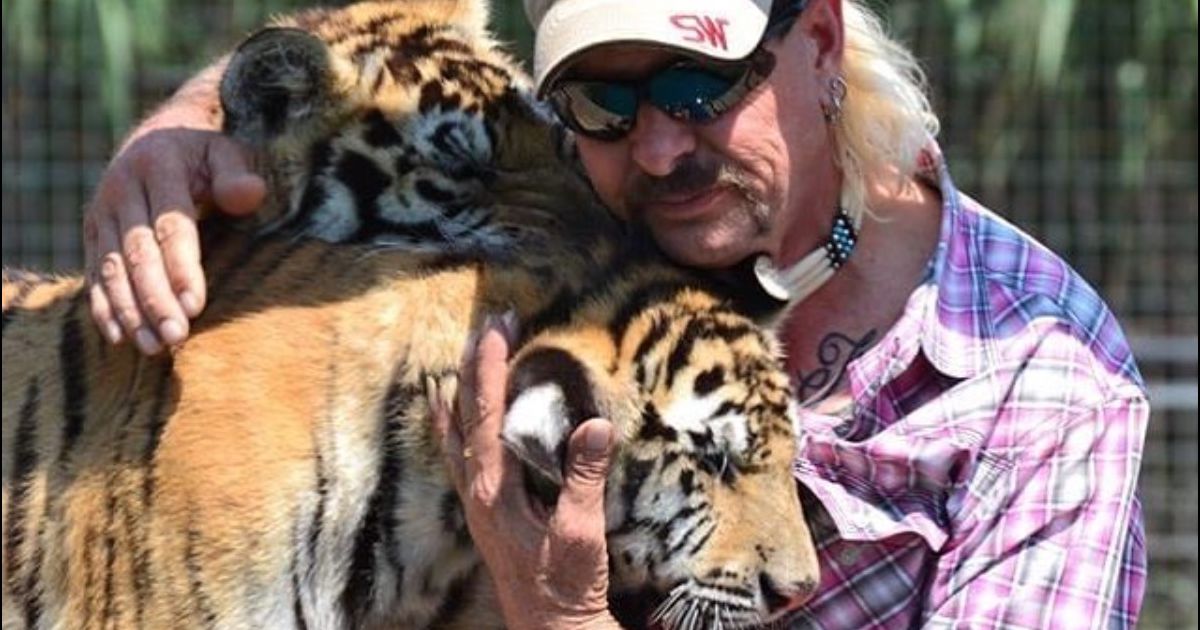 Actu people. News people du jour. Toute l'info - Purepeople