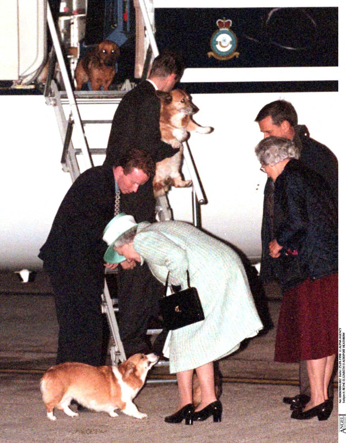 Photo : La reine Elizabeth et ses chiens à l'aéroport d'Heathrow en ...