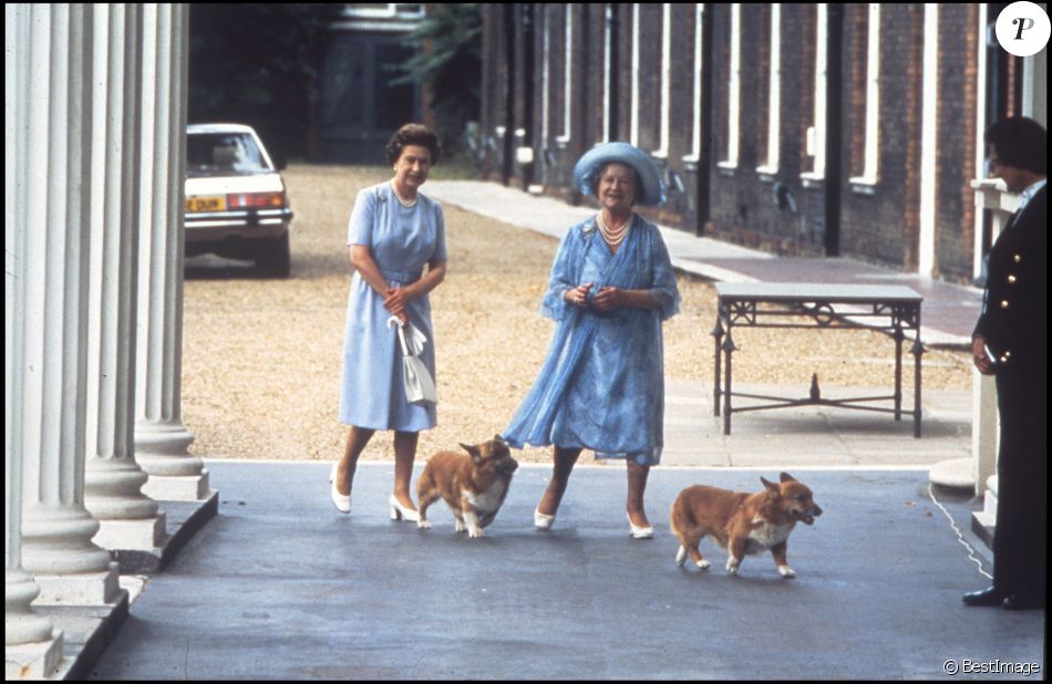 Elizabeth II et la Reine mère avec leurs chiens en 1988. - Purepeople
