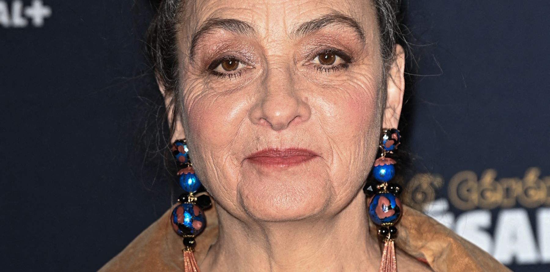 Catherine Ringer malade : elle annule des concerts au dernier moment ...