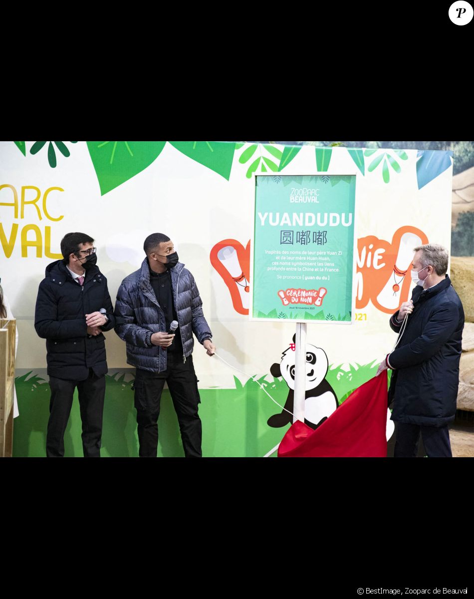 Kylian Mbappé avec des bébés pandas : photos de la rencontre improbable ...
