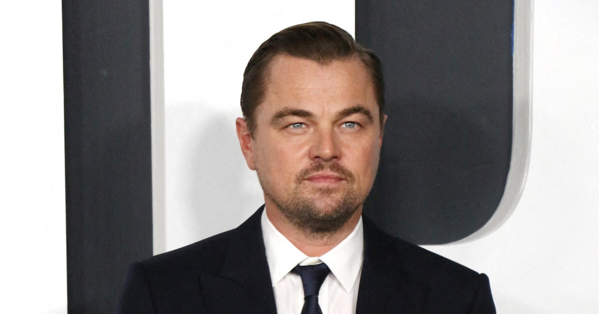 Leonardo DiCaprio se lance dans un nouveau business... en France ! : Le ...