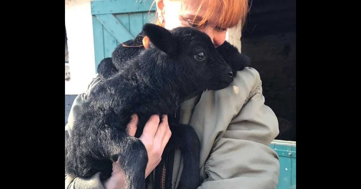 Axelle Red sur Instagram. Le 22 avril 2020. - Purepeople