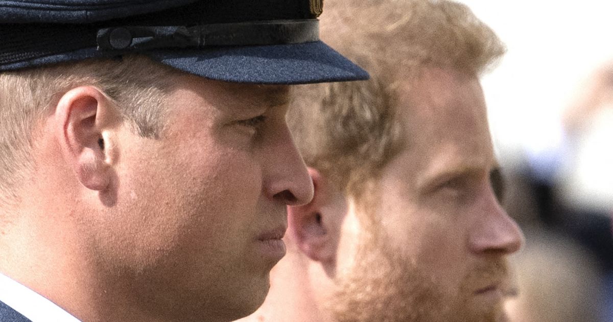 Le prince de Galles William, le prince Harry, duc de Sussex ...