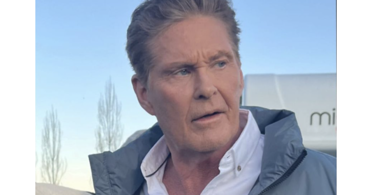 Alerte à Malibu : Un éminent héros de la série a disparu, David ...