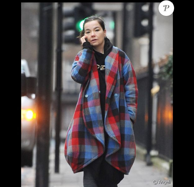 Björk : Une chanteuse engagée, mais loin d'être une fashionista ...