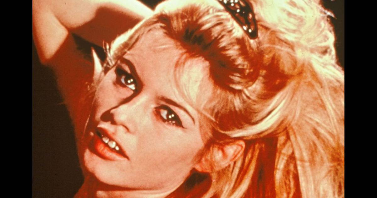 Brigitte Bardot dans le film Liz Hurley. - Purepeople