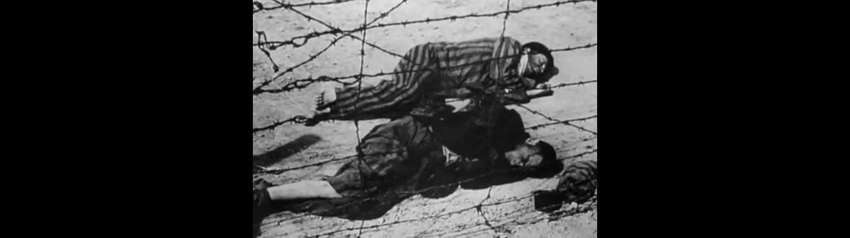 Vidéo : Nuit et brouillard d'Alain Resnais - Purepeople
