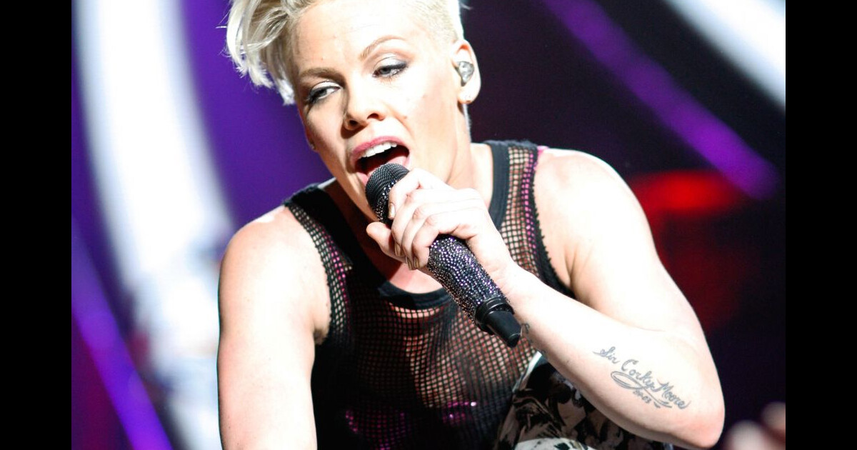 Pink : Face à une bagarre de fans en plein concert, elle réplique avec ...