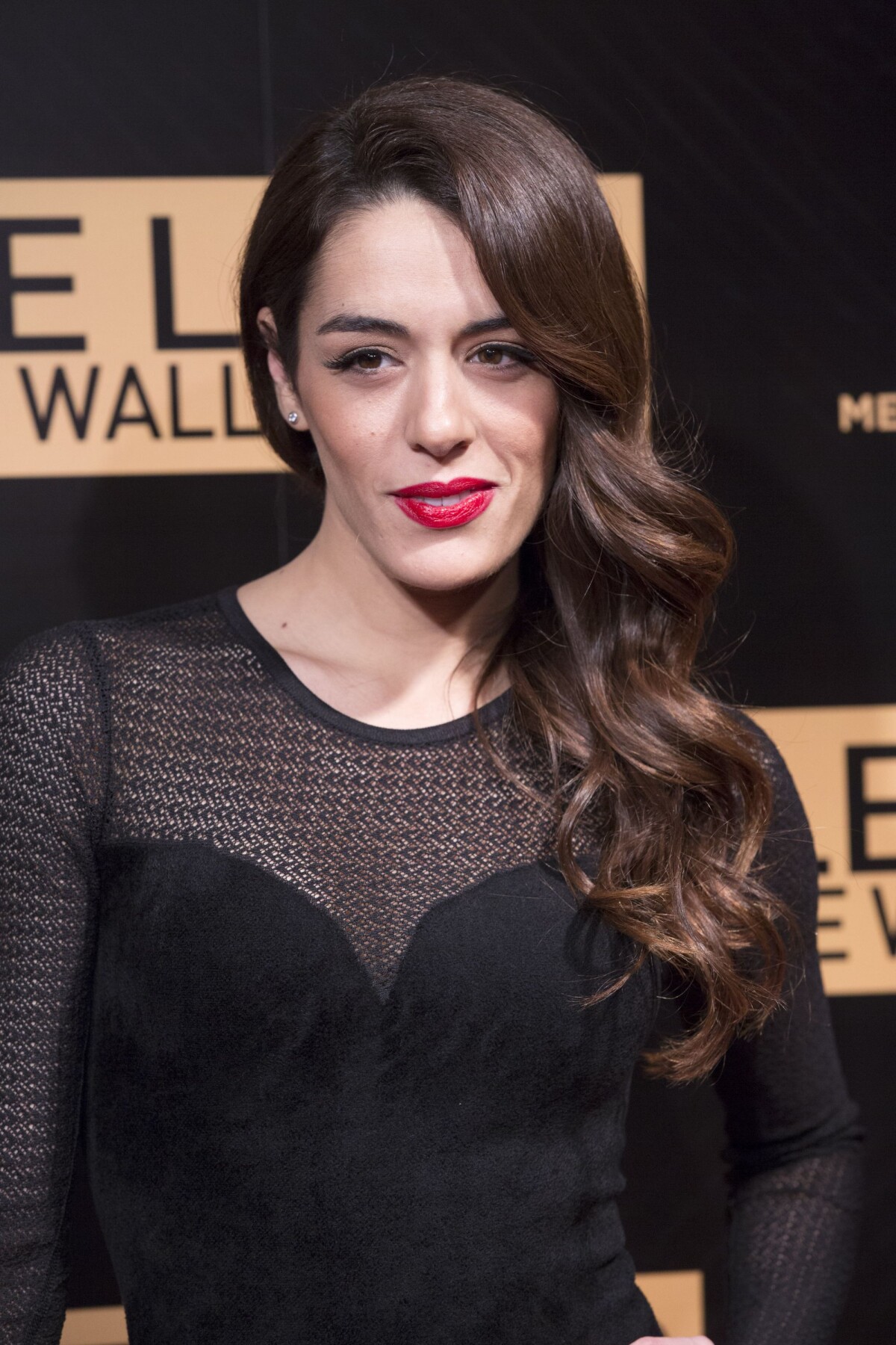 Photo : Sofia Essaïdi à la première mondiale du film Le Loup de Wall Street à Paris le 9 ...