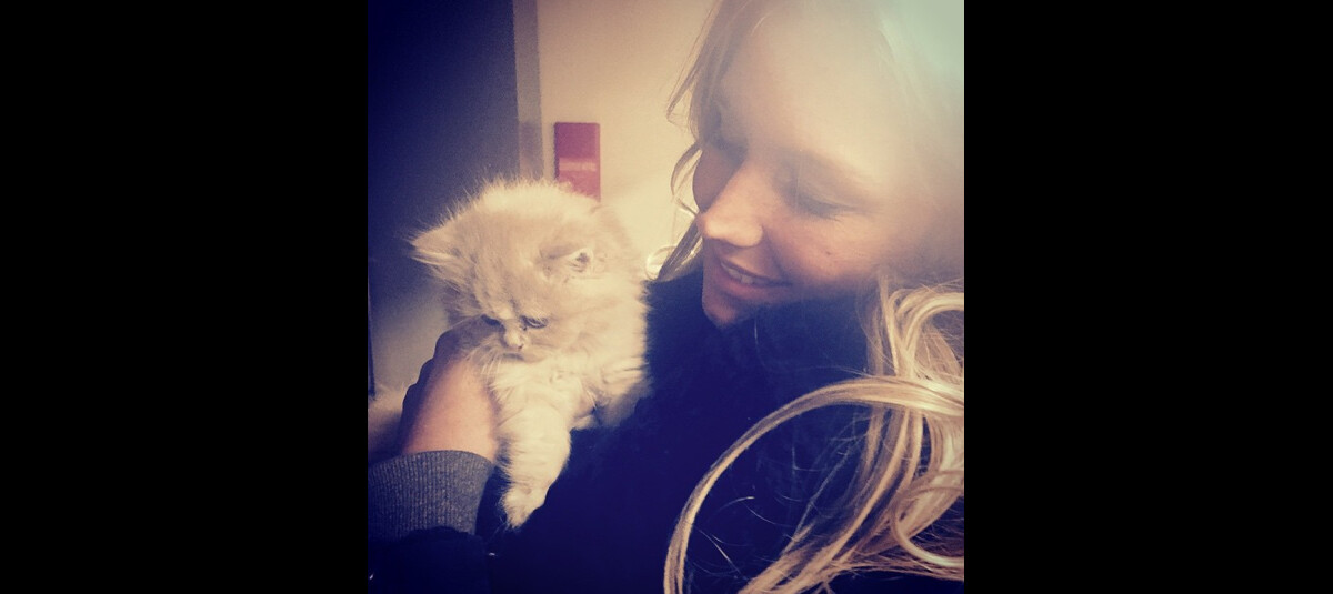 Photo : Aurélie Van Daelen et son adorable chaton. 2014. - Purepeople