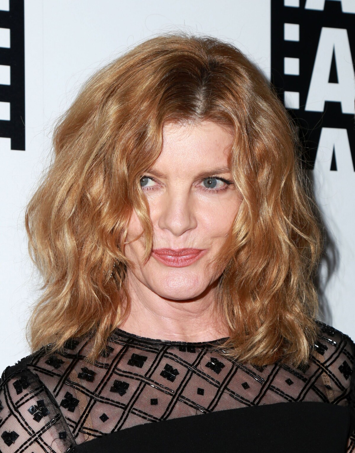 Photo : Rene Russo - Tapis rouge du "65th Annual ACE Eddie Awards" Los ...
