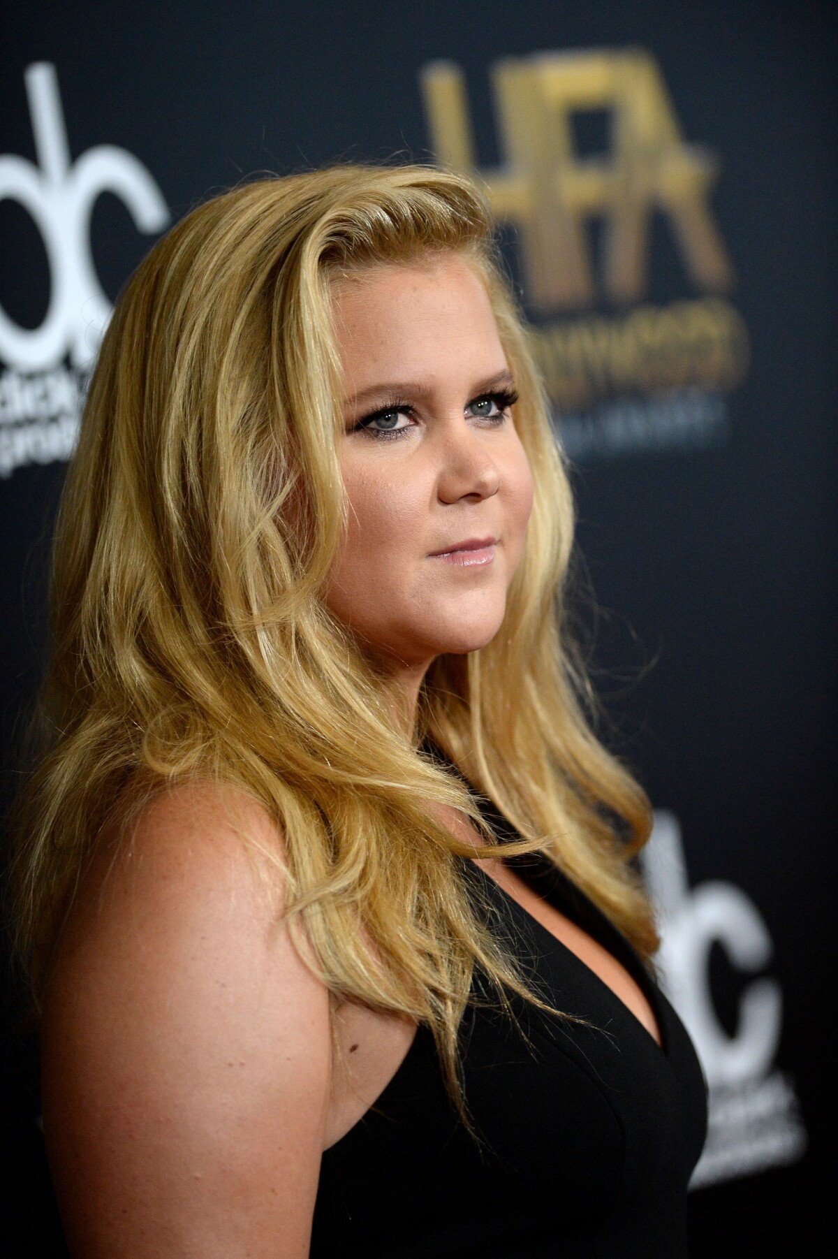 Photo : Amy Schumer attends the 19th Annual Hollywood Film Awards at ...