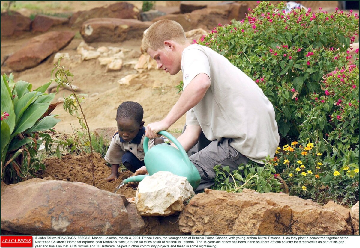 Photo : Le prince Harry plantant un pêcher au Lesotho avec le jeune ...