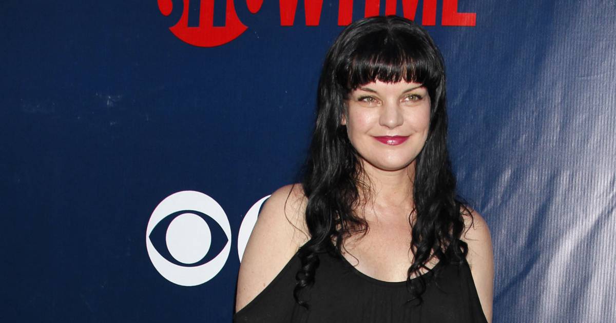 Pauley Perrette : Son effroyable récit face à son agresseur - Purepeople