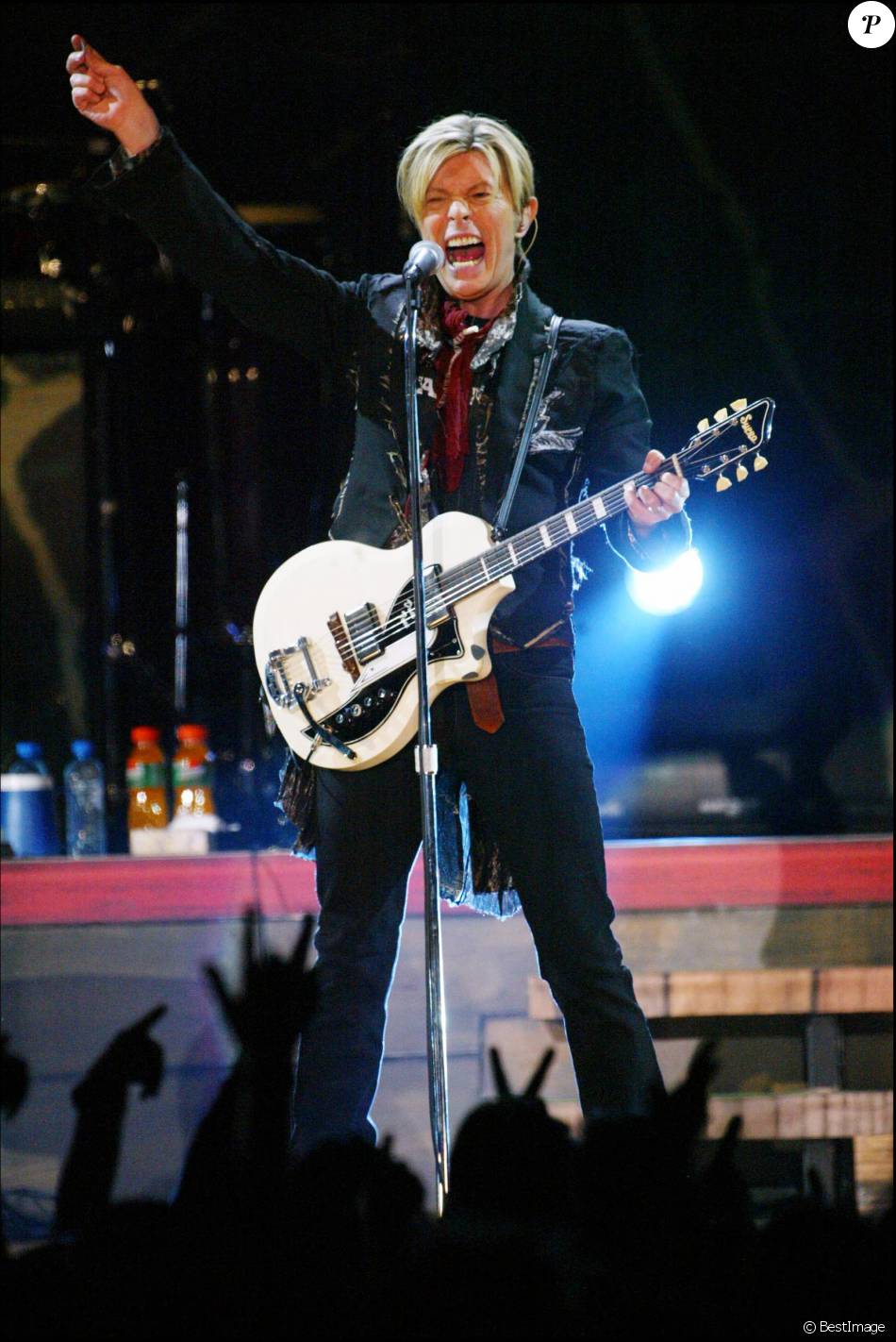 David Bowie en concert à Bercy en 2003 à Paris - Purepeople