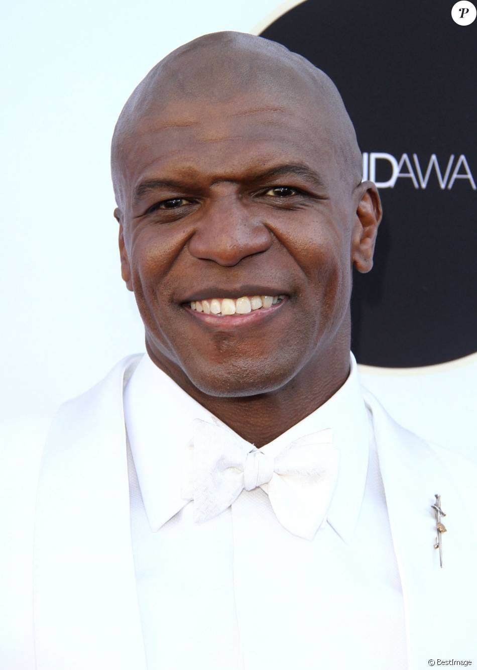 Terry Crews à la soirée 2015 TV LAND Awards à Beverly Hills, le 11 ...