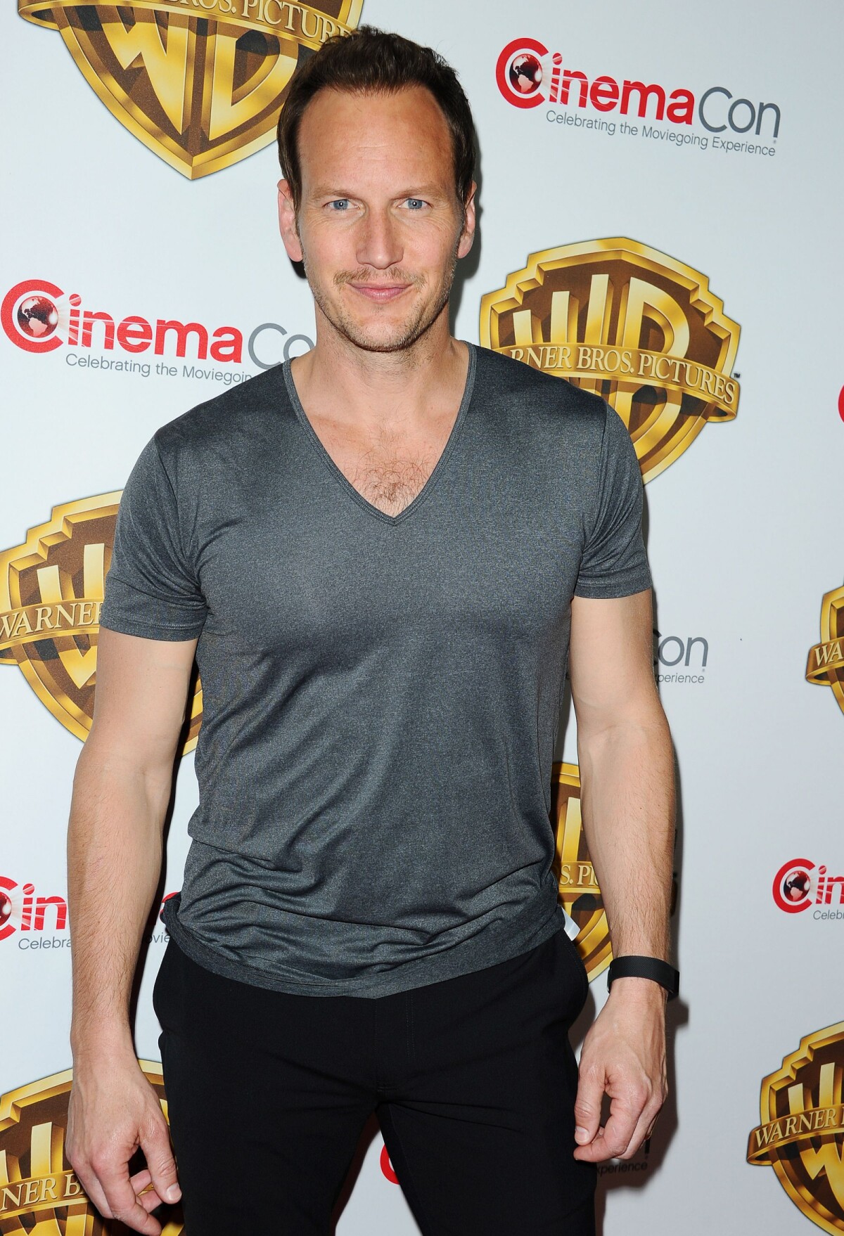 Photo : Patrick Wilson lors de la présentation Warner Bros The Big ...