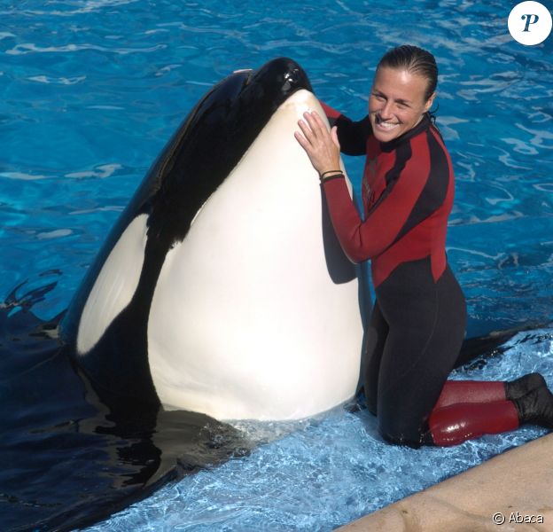 Mort de Tilikum, la plus célèbre orque du monde et star de "Blackfish ...