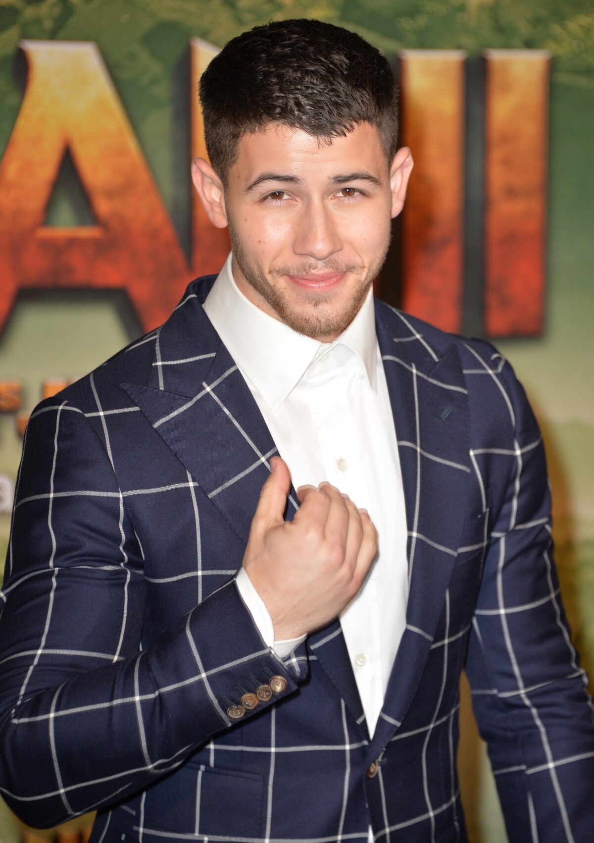 Photo : Nick Jonas - Avant-première du film "Jumanji : Bienvenue dans ...