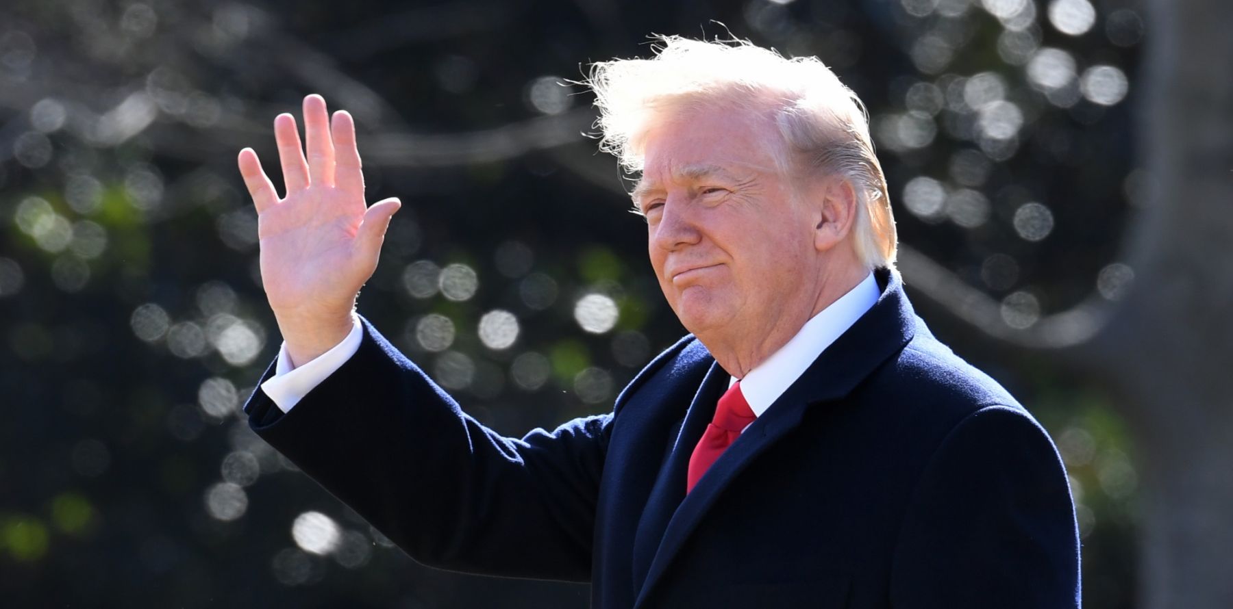 Donald Trump chauve : Le président américain une nouvelle fois ...