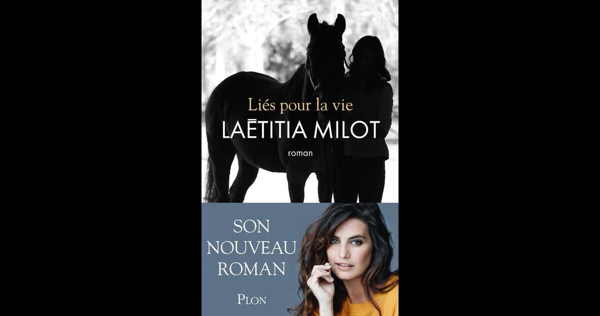 Photo : Laetitia Milot, "Liés pour la vie", en 2017 - Ode (Purepeople)
