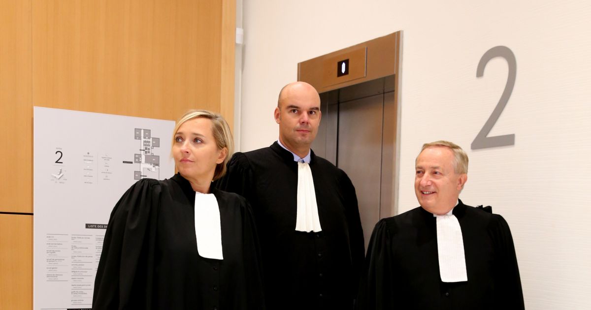 Exclusif - Maître Carine Piccio (avocate de David Hallyday), Maître ...