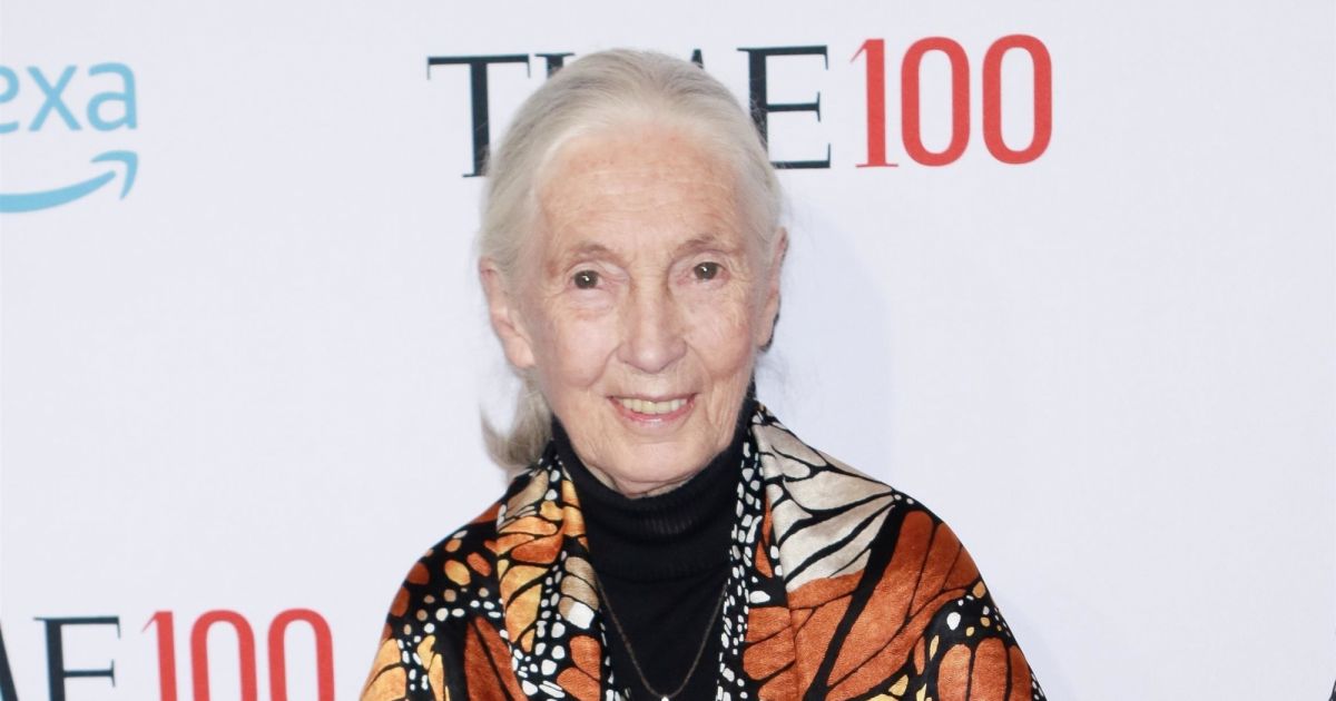 Jane Goodall - Arrivées au Time 100 Gala 2019 au Lincoln Center à New ...