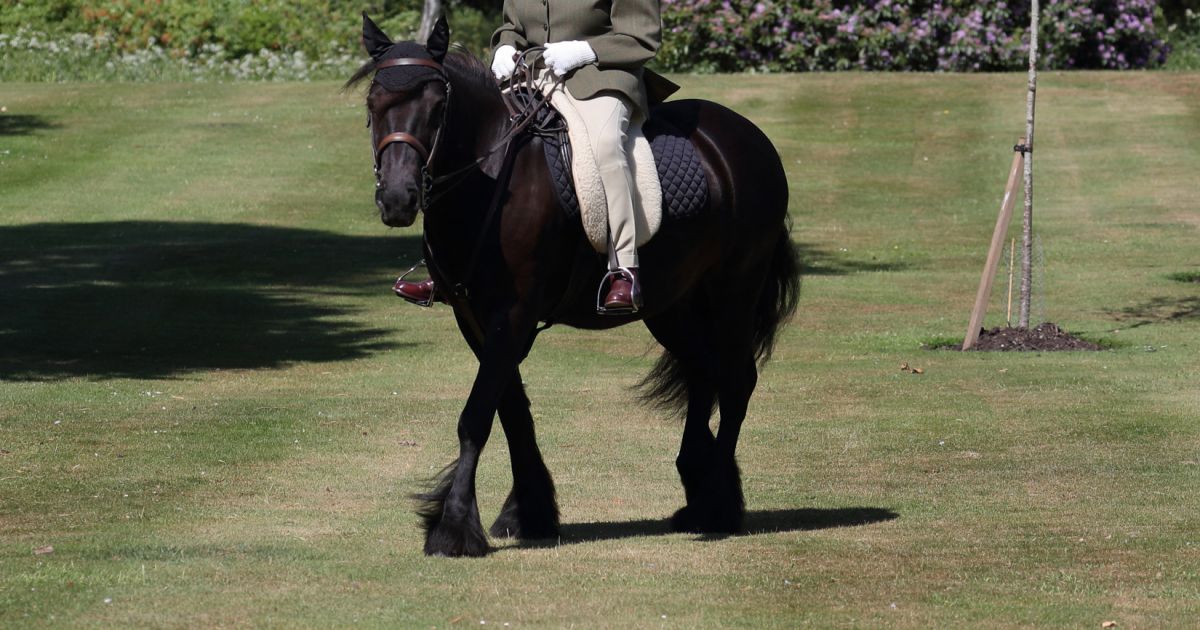La reine Elisabeth II fait une balade à cheval dans le parc du château ...