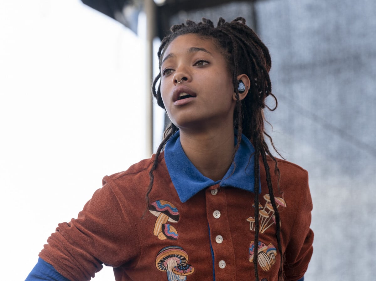 Photo : Willow Smith - Les activistes et les artistes se succèdent sur ...