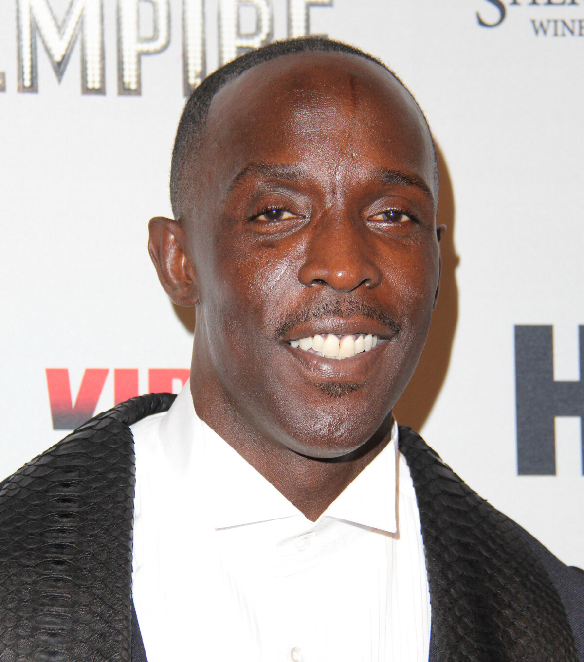 Photo : Michael K. Williams - Premiere de Boardwalk Empire" a Los ...