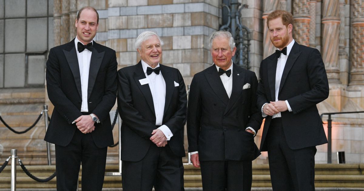 Le prince William, duc de Cambridge, Sir David Attenborough, le prince ...