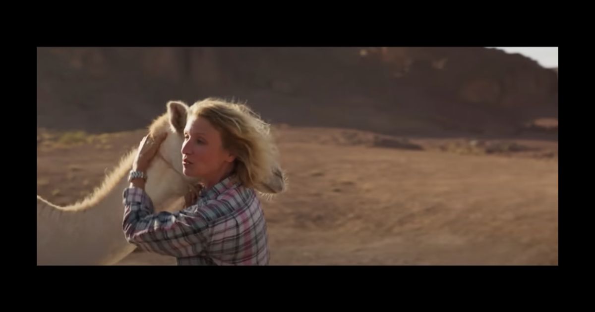 Bande-annonce du film Zodi et Téhu, frères du désert. - Purepeople
