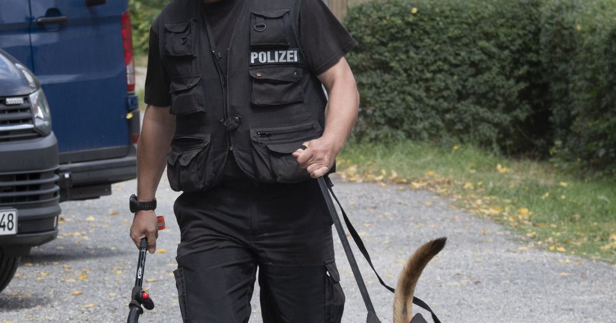 "Elle n'a pas crié" : Disparition de Maddie McCann, ces mots prononcés ...