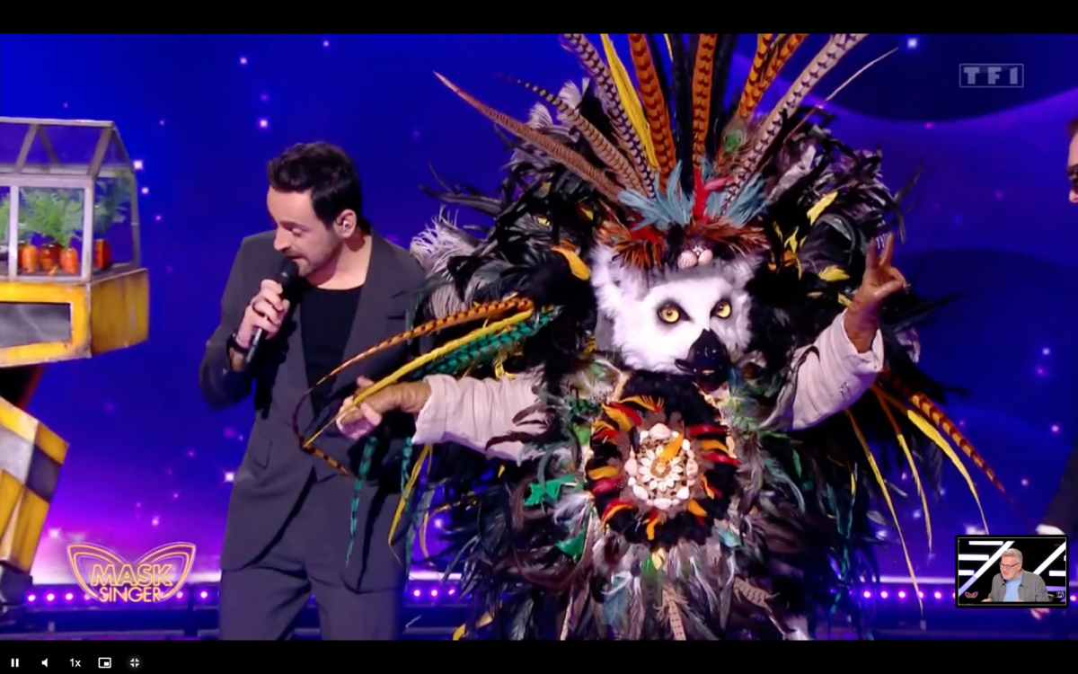 Photo : Le Lémurien, "Mask Singer", TF1. - Purepeople