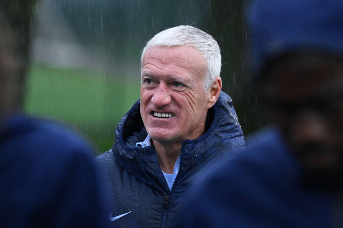 Photo : Didier Deschamps ( coach France ) during a Team France training ...