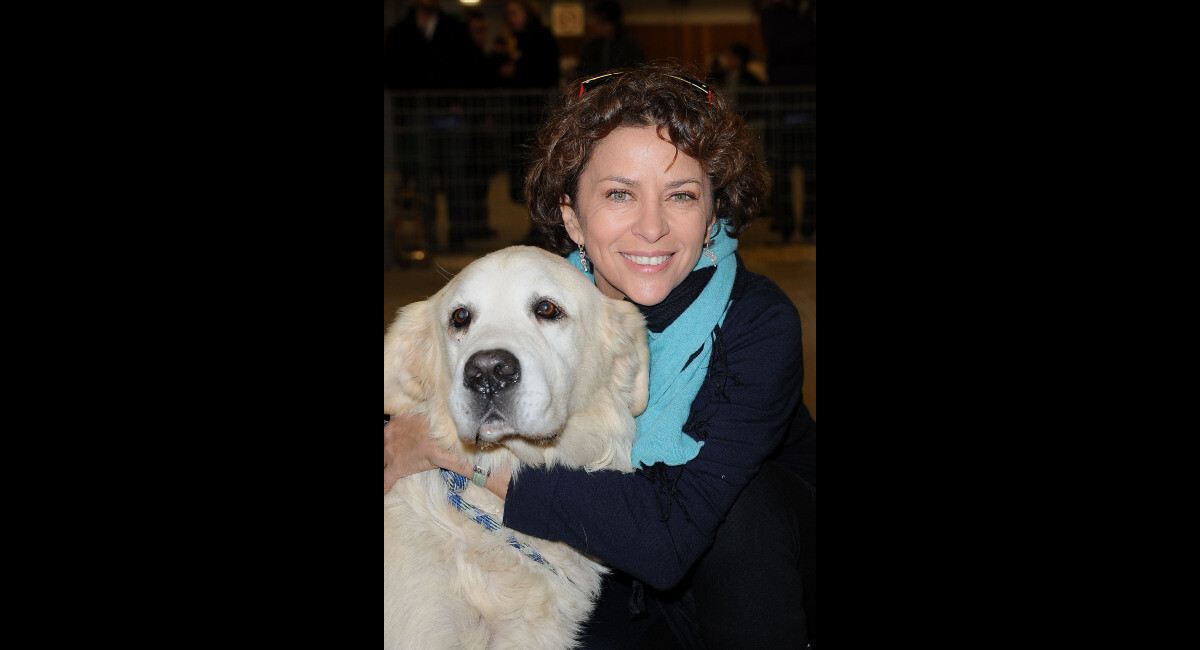 Photo : Corinne Touzet et un chien en novembre 2011 à Paris - Purepeople