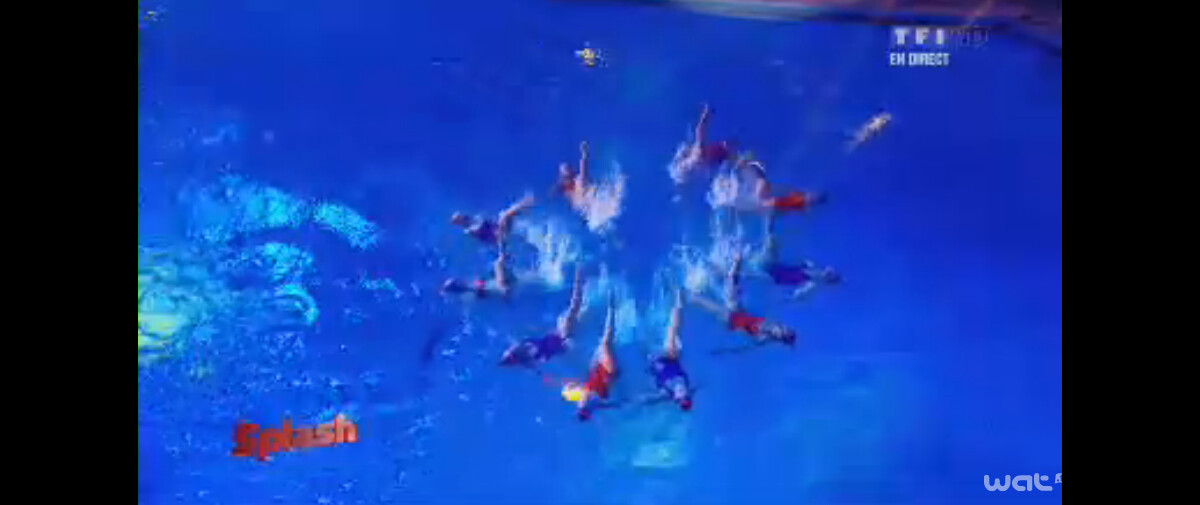 Photo : Premier prime de Splash, le 8 février 2013 sur TF1. Le show est ...