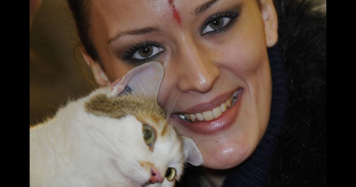Kelly Bochenko avec un chat en novembre 2011 à Paris - Purepeople