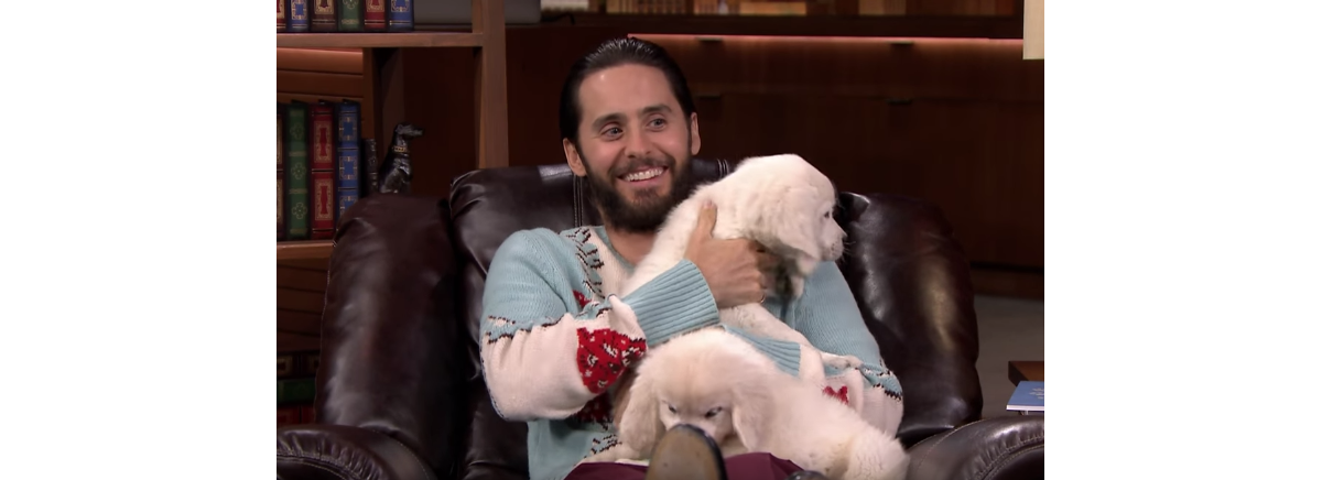 Photo : Jared Leto avec des golden retriever au Late Show With Jimmy ...
