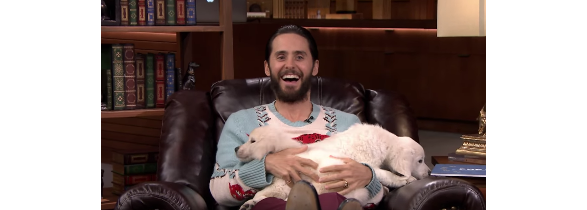 Photo : Jared Leto avec des Golden Retriever chez Jimmy Fallon ...