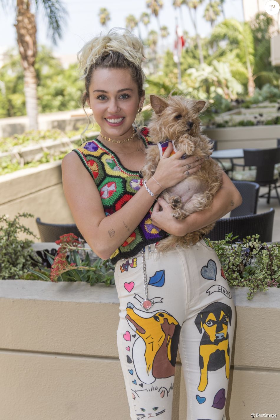 Miley Cyrus en conférence de presse pour la série tv Crisis in Six ...