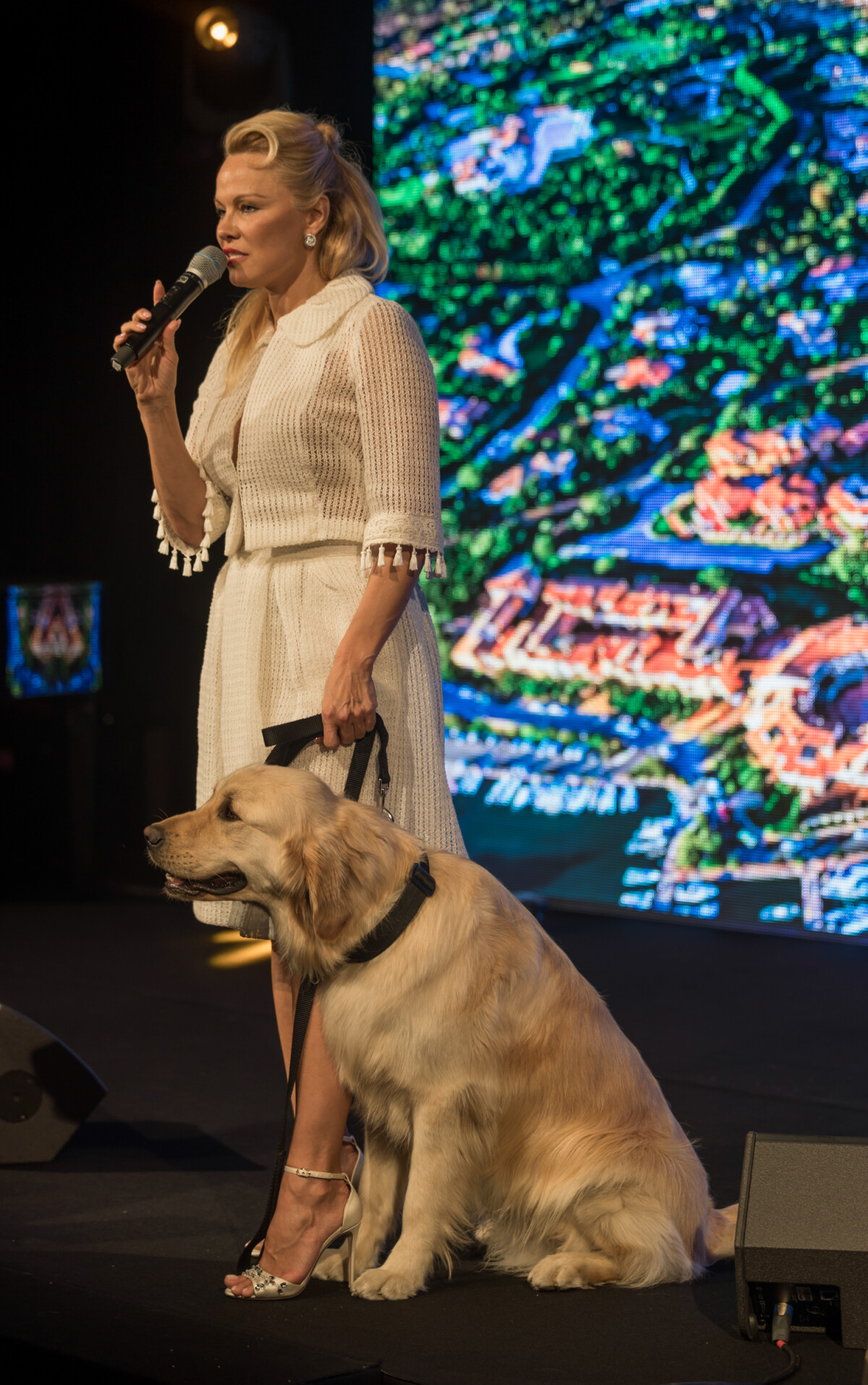 Photo : Exclusif - Pamela Anderson et son chien Zoubisoubisou lors de ...