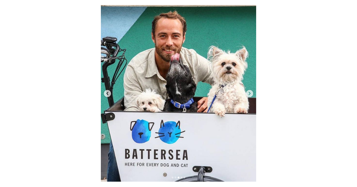 James Middleton : Bronzé et velu, il surfe avec ses adorables chiens ...